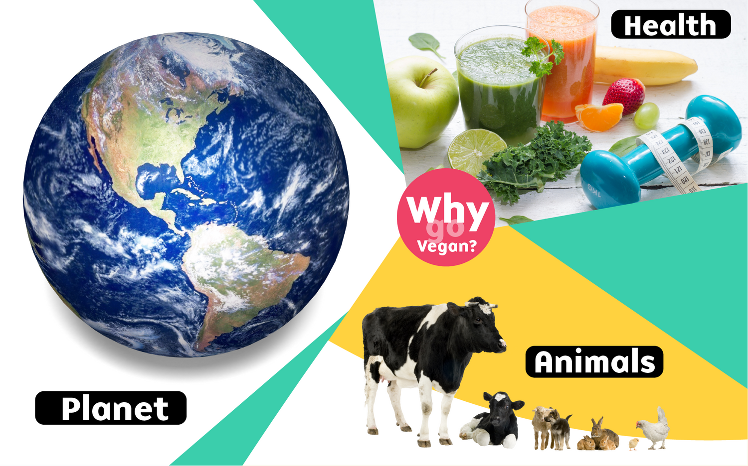 Why Go Vegan? – Vegan Dukan