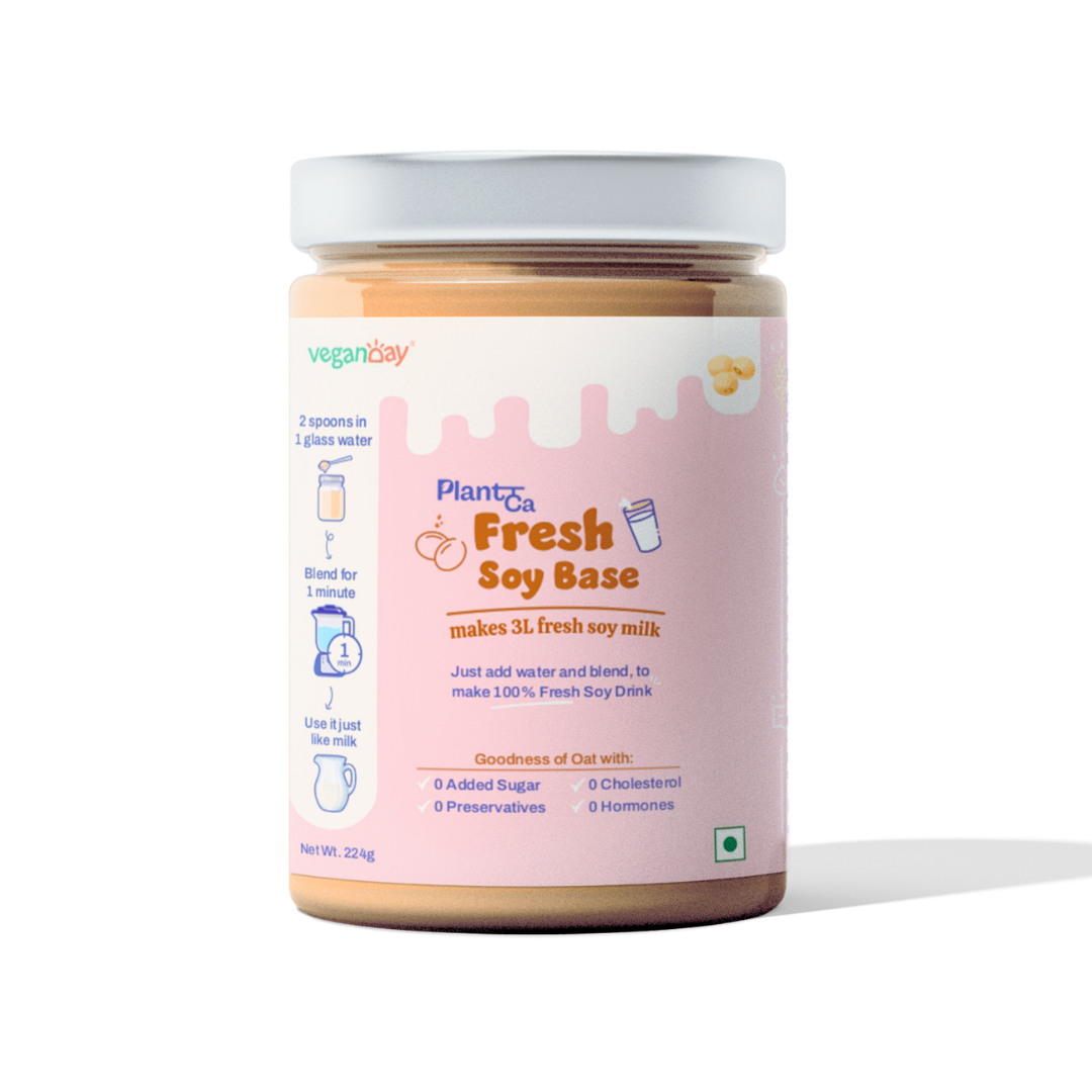 Veganday PlantCa Fresh Soy Drink | Plant Based Milk Substitute | Lacto